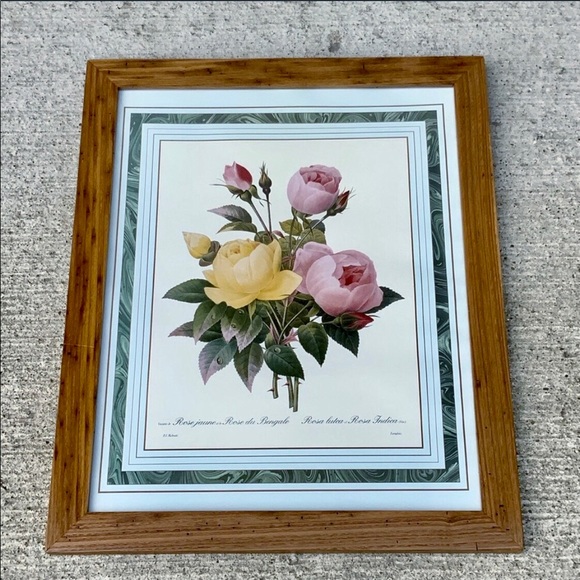 Vintage | Wall Decor | Vintage Pj Redoute French Botanical Roses Print ...